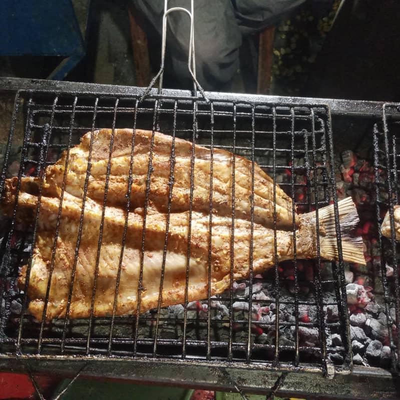 Grilled Fish - Fish - 1108581781