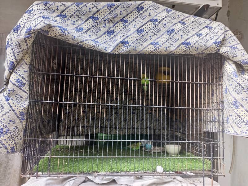 Cage 2.5 foot height width 3 foot heavy metal cage - Cages, Crates ...