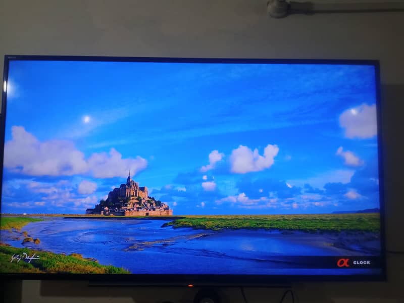 SONY LED 50 INCH - Televisions - 1108649598