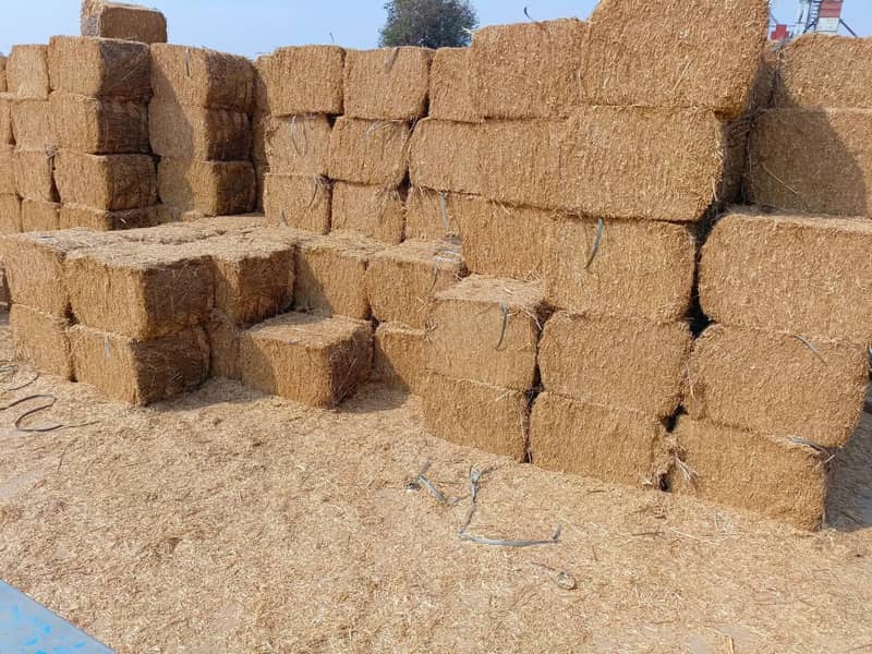TAJ ALI BAILING SERVISES. . . BHOOSA FOR SALE. @800/40 KGS - Other ...