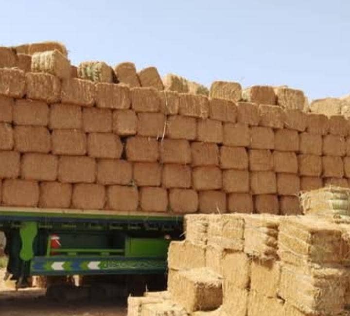 TAJ ALI BAILING SERVISES. . . BHOOSA FOR SALE. @800/40 KGS - Other ...