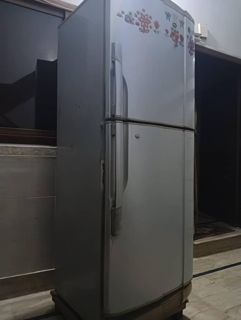 PEL Single Door Friidge - Refrigerators - 1108930392