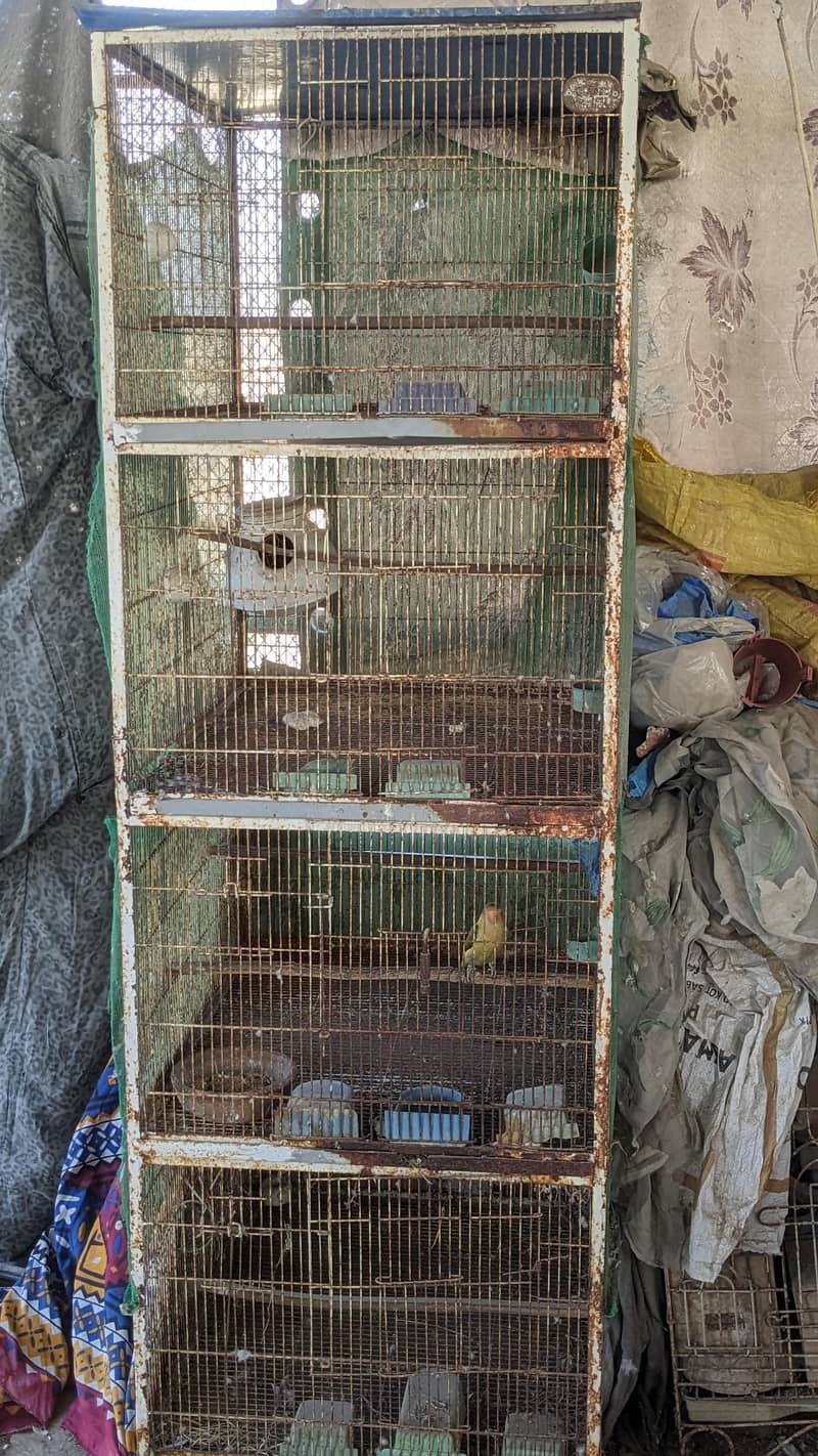 4 Portion Cage 2x2.5 Size - Cages, Crates & Doors - 1109079025