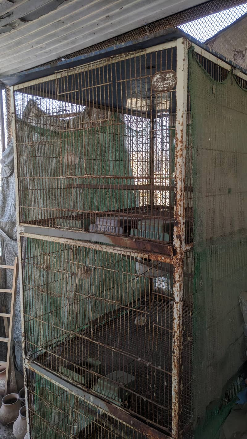 4 Portion Cage 2x2.5 Size - Cages, Crates & Doors - 1109079025