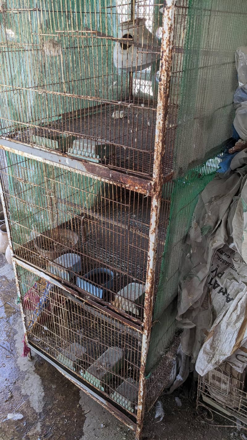 4 Portion Cage 2x2.5 Size - Cages, Crates & Doors - 1109079025