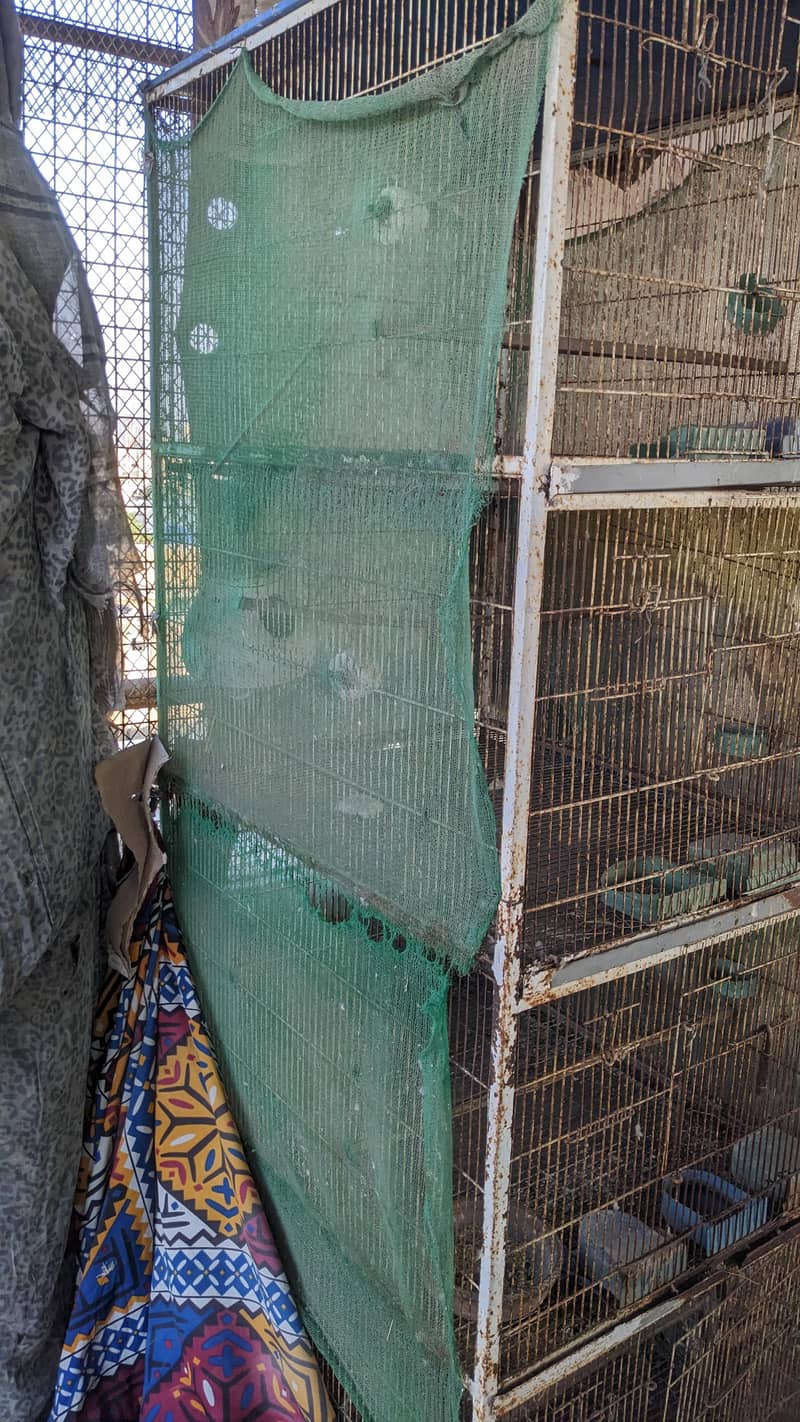 4 Portion Cage 2x2.5 Size - Cages, Crates & Doors - 1109079025