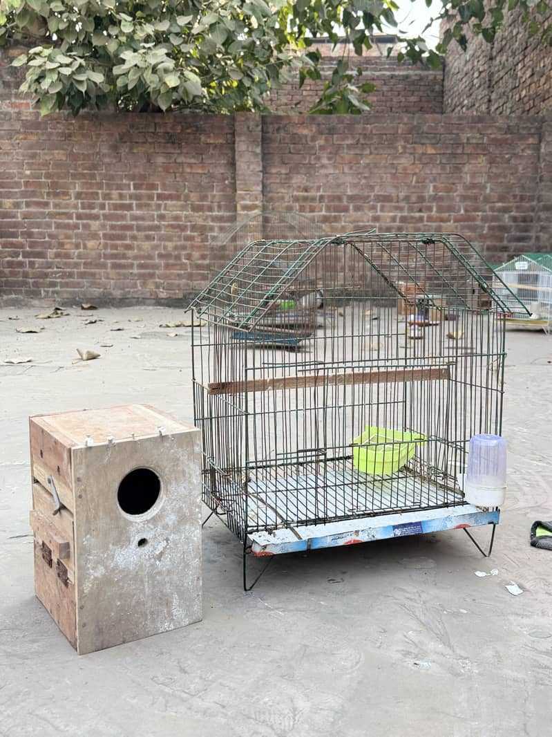 Folding iron cages for sale - Birds Accessories - 1109088662