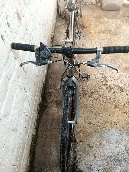 sport racing cycle - Other Bicycles - 1109316777