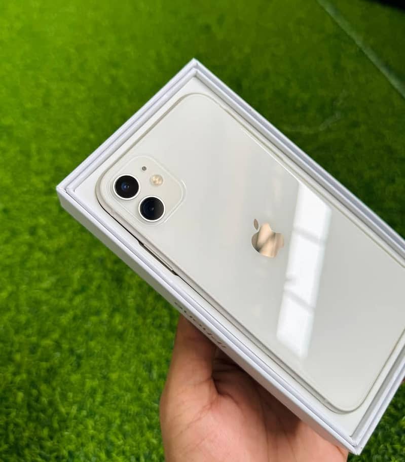 IPhone 11 - Mobile Phones - 1109327343