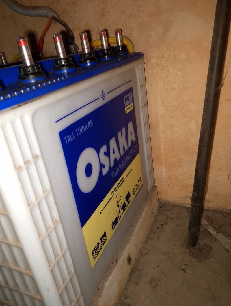 2 Osaka tall tubular pro 200 - Other Services - 1109369386