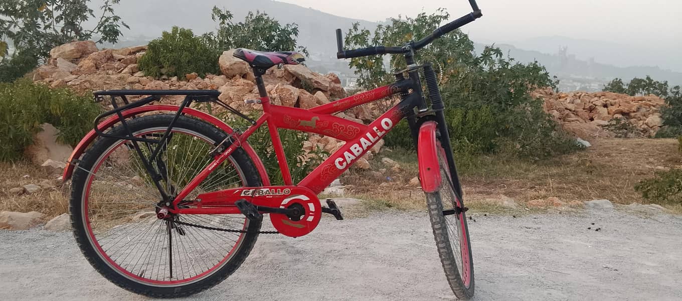 Red Color Full Size Cycle contact on 03095517677 - Standard - 1109391599