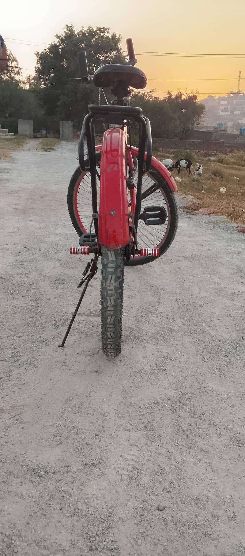 Red Color Full Size Cycle contact on 03095517677 - Standard - 1109391599