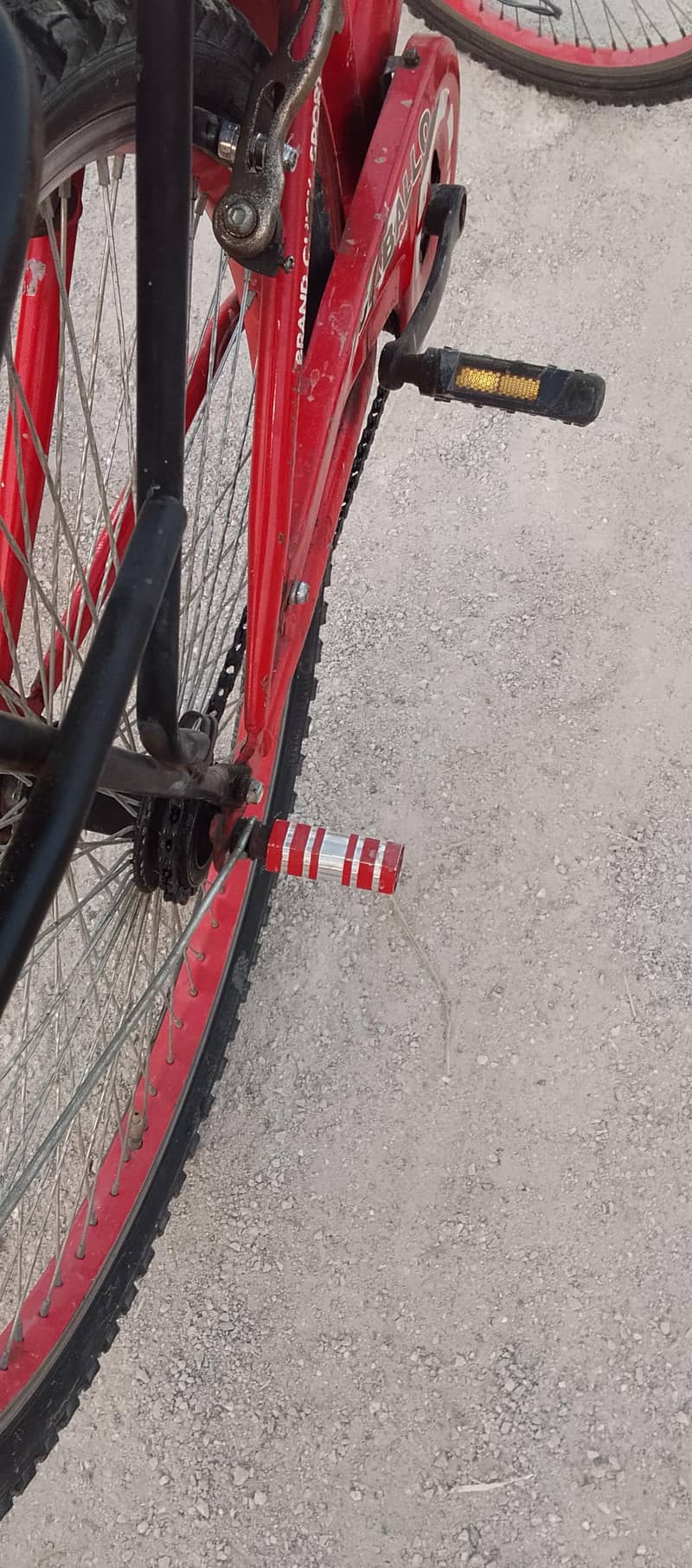 Red Color Full Size Cycle contact on 03095517677 - Standard - 1109391599