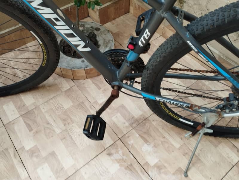 blue and silver champion cycle - Mountain Bikes - 1109399397