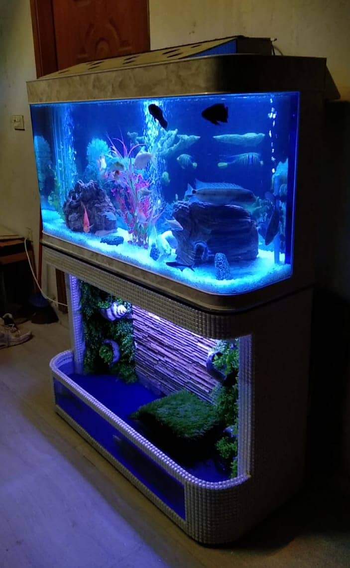 AQUARIUM || FİSH TANK || Luxury Aquariums || Fancy Aquariums for sale ...