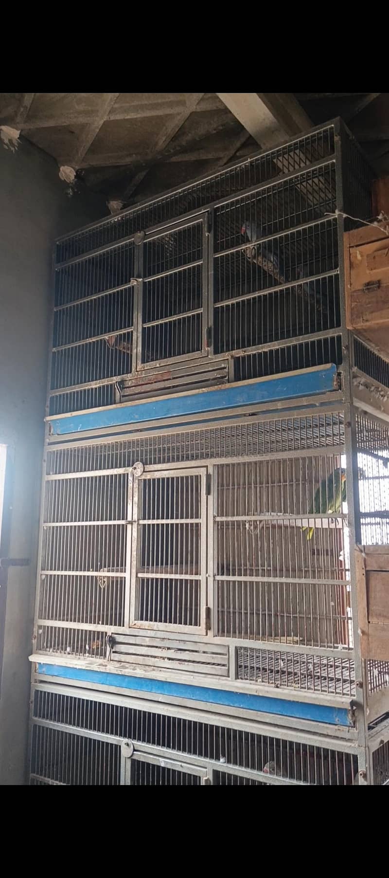 Trolley cage full folding 4=2½=2½ MS Build - Cages, Crates & Doors ...