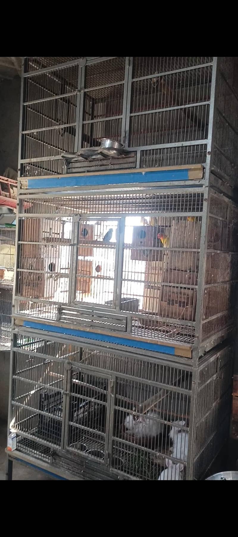 Trolley cage full folding 4=2½=2½ MS Build - Cages, Crates & Doors ...