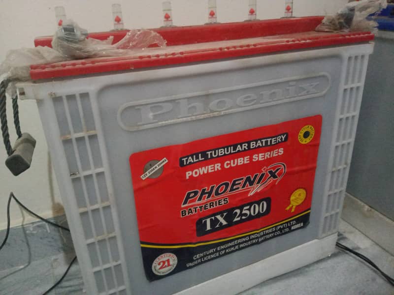 Phoenix TX2500 230ah Solar system Battery Tall Tubular Battery ...