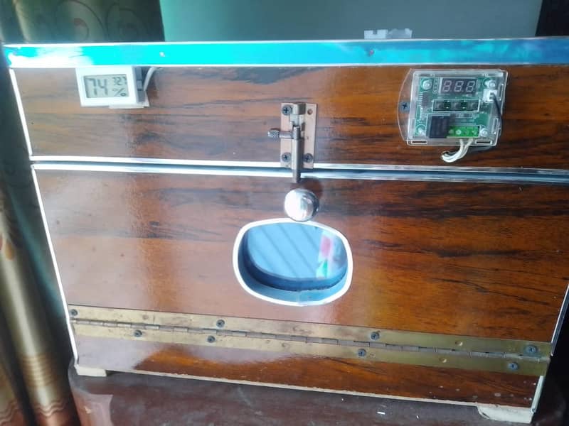 aseel | Lasani | fancy murgha | rice husk | Incubator |thai pakoy ...