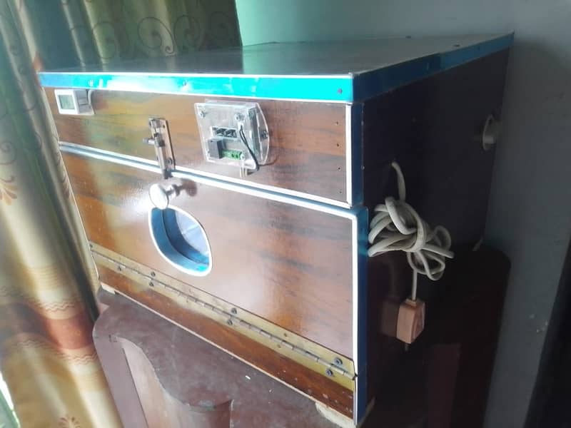 aseel | Lasani | fancy murgha | rice husk | Incubator |thai pakoy ...