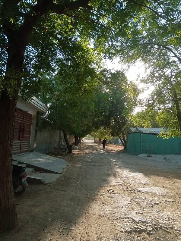 Multi Color Co Operative Plot 120 Square Yard - Land & Plots - 1109690139