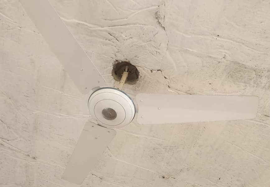 selling fan - Ceiling Fans - 1109782510