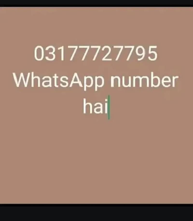 Alabai dog | Kurdish kangal | Afghan Kochi Pair |security dog for sal ...