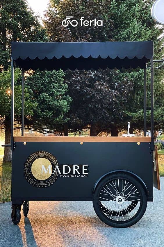 “Counter Cart Master Professional Food Cart Manufacturing & Customized ...