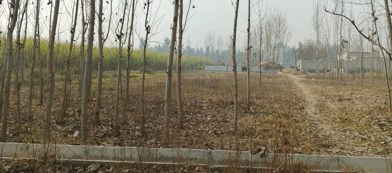 15 Marla plot availabe at Nissata, dwa sari Chowk Charsadda - Land ...