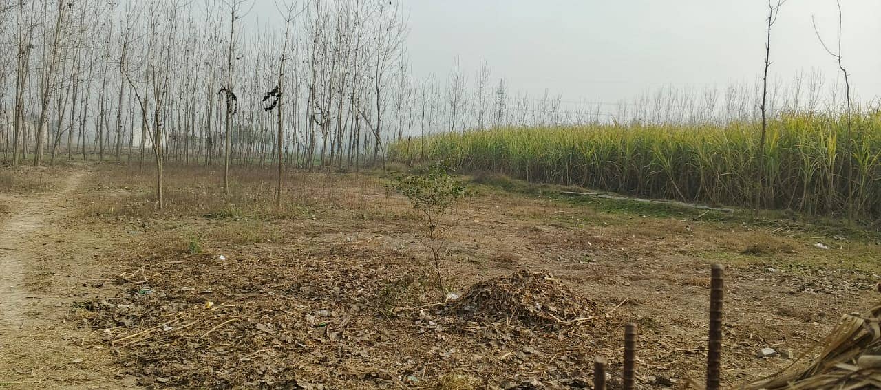 15 Marla plot availabe at Nissata, dwa sari Chowk Charsadda - Land ...