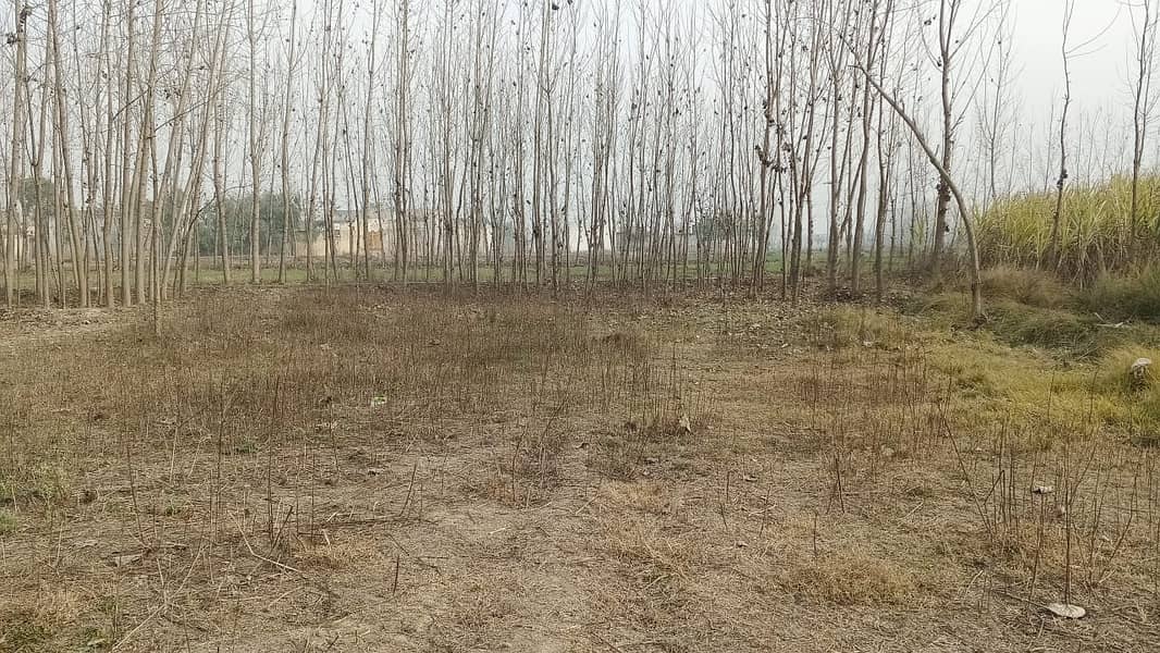 15 Marla plot availabe at Nissata, dwa sari Chowk Charsadda - Land ...