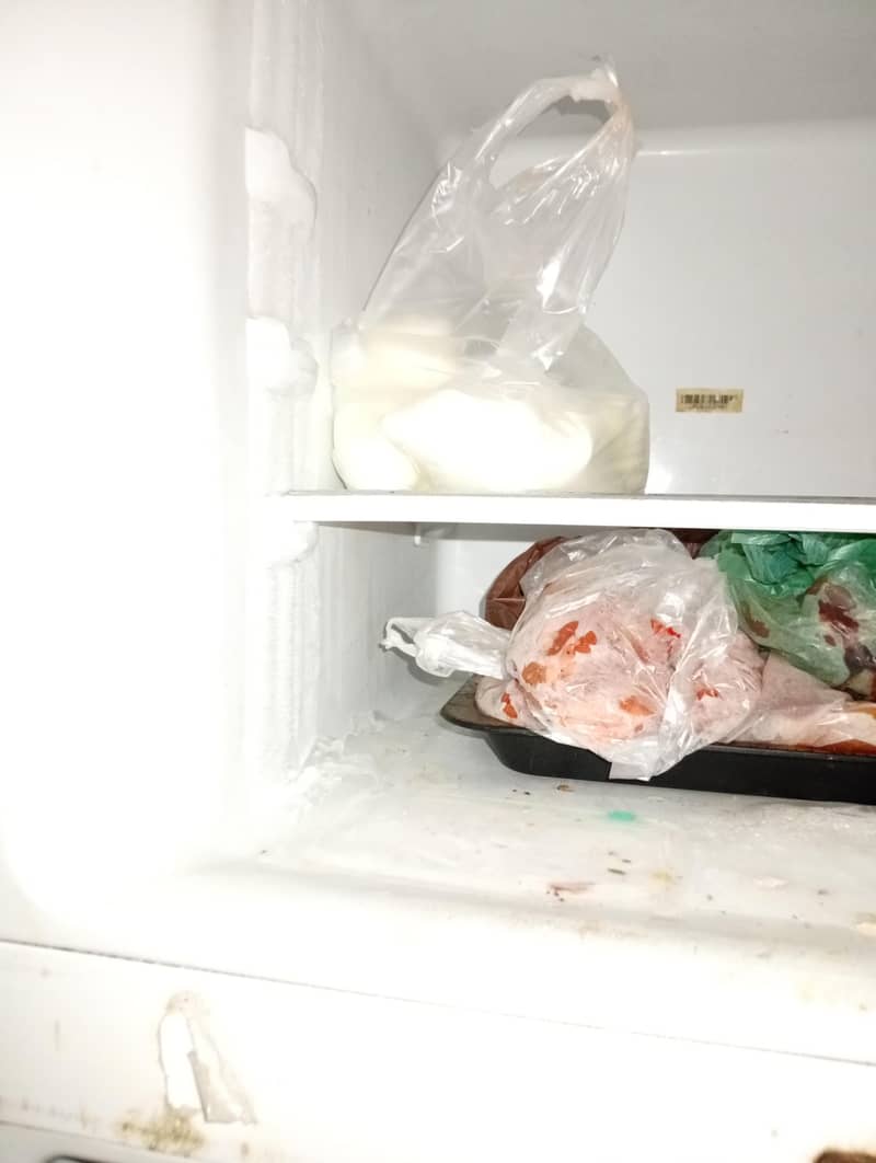Dawlance model 9173 chorome R - Refrigerators - 1110007125