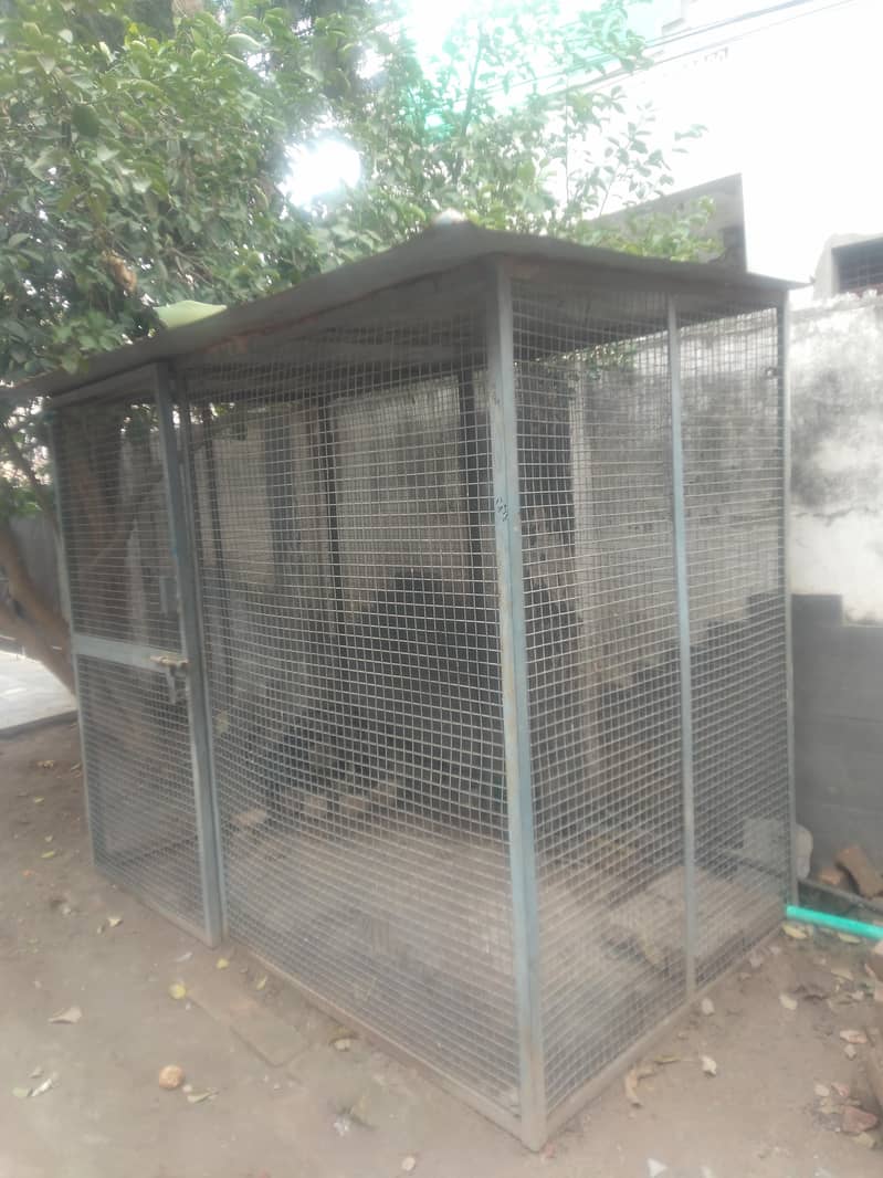 big size cage for animals - Cages, Crates & Doors - 1110044236