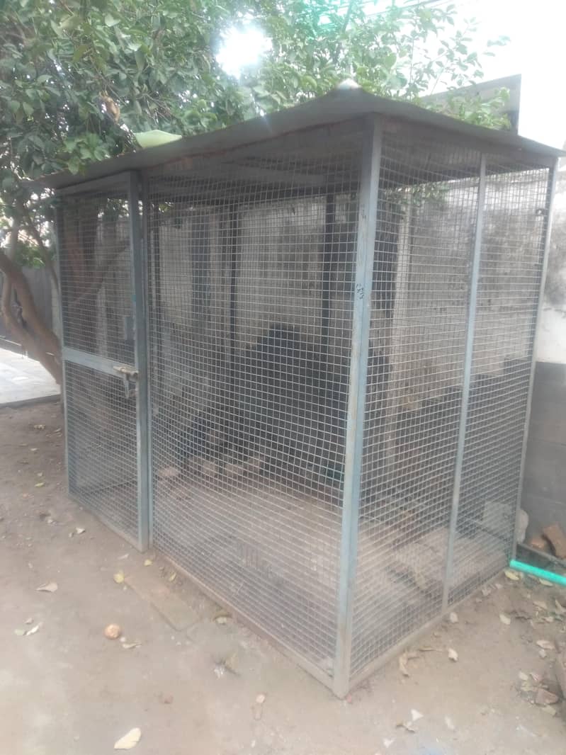 big size cage for animals - Cages, Crates & Doors - 1110044236
