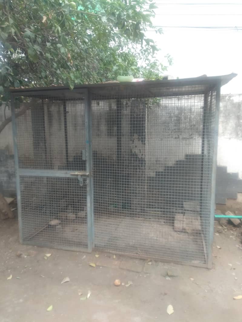big size cage for animals - Cages, Crates & Doors - 1110044236
