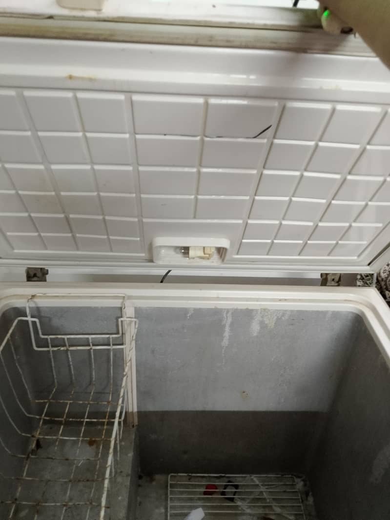 Deep Freezer - Freezers - 1110060379