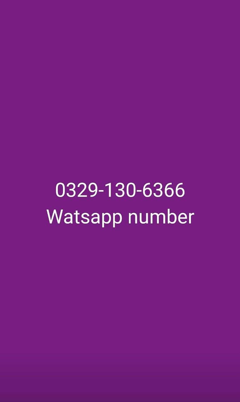 Siberian husky puppy for sale - Dogs - 1110085524