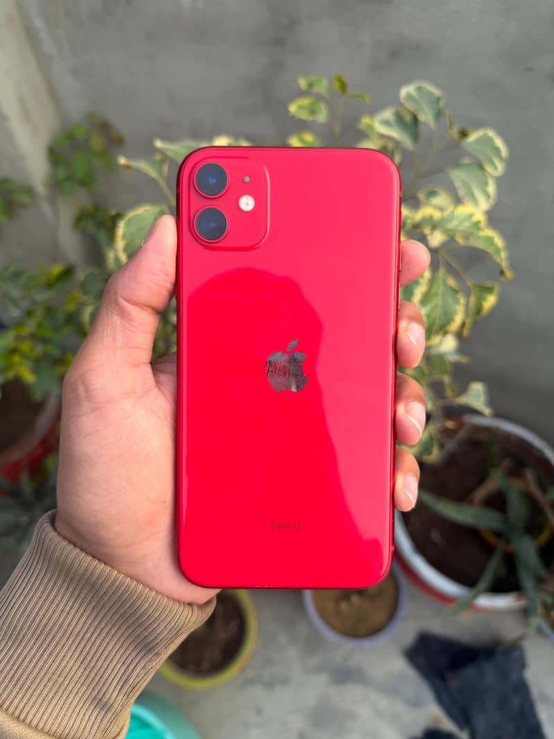 Iphone 11 - Dual sim PTA approved officially - Mobile Phones - 1110091908