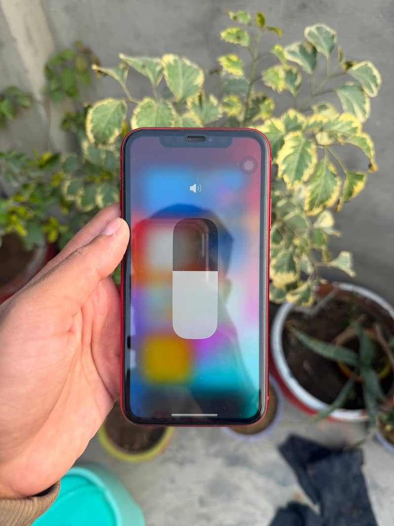 Iphone 11 - Dual sim PTA approved officially - Mobile Phones - 1110091908