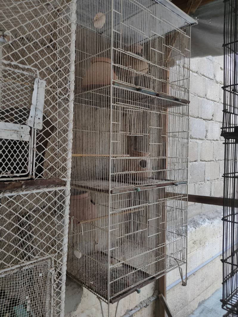 Birds cages - Cages, Crates & Doors - 1110094745
