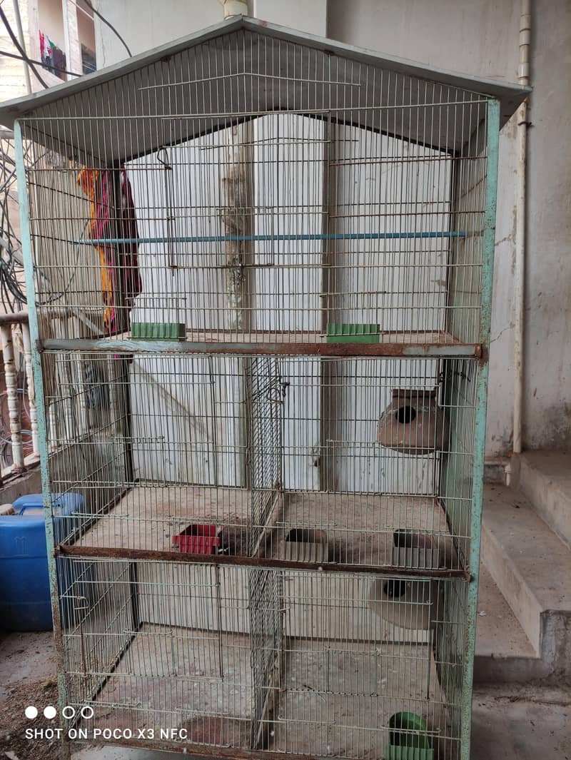 bird cage - Cages, Crates & Doors - 1110116104