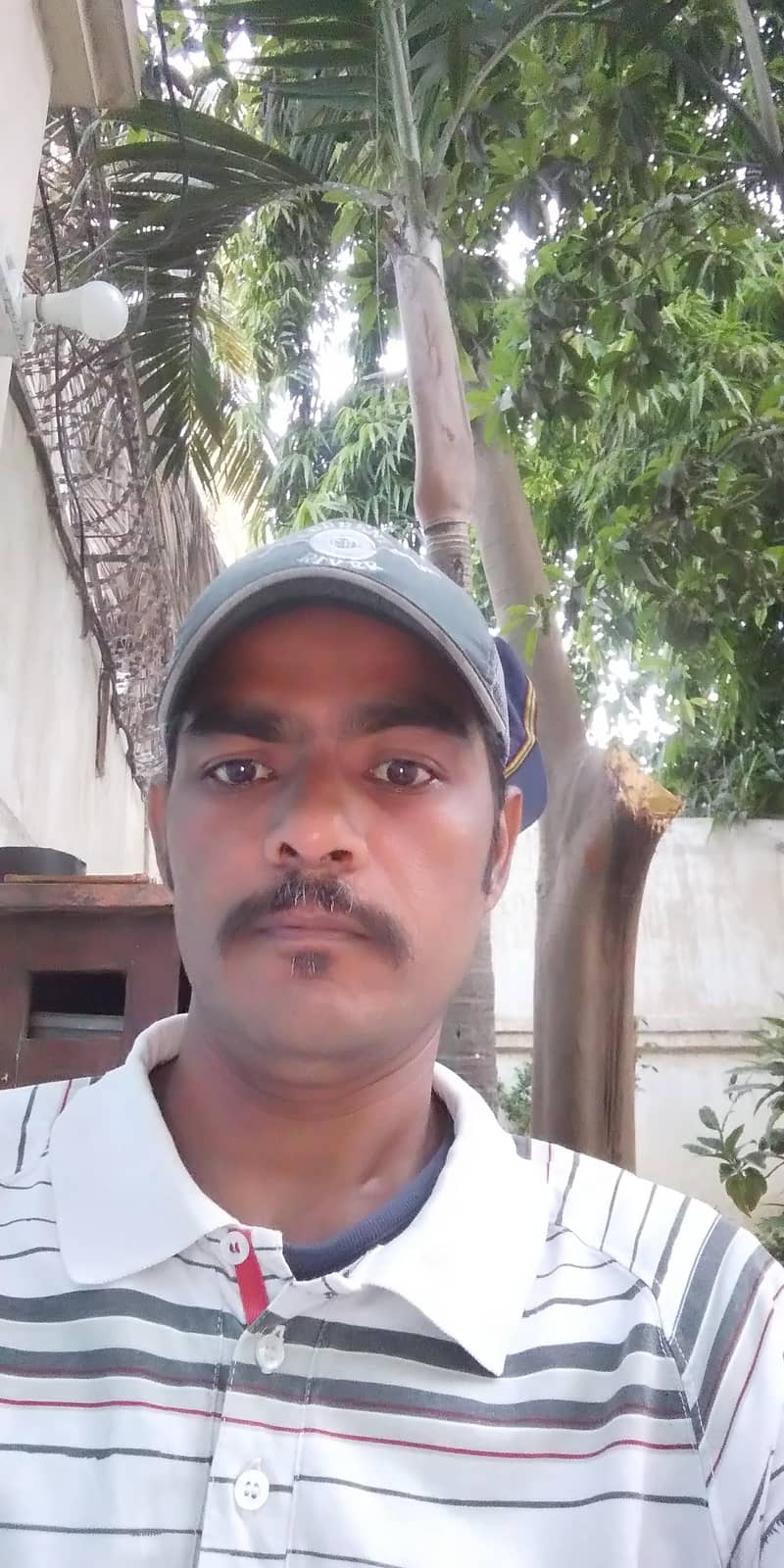 tailor master - Manufacturing - 1110166389