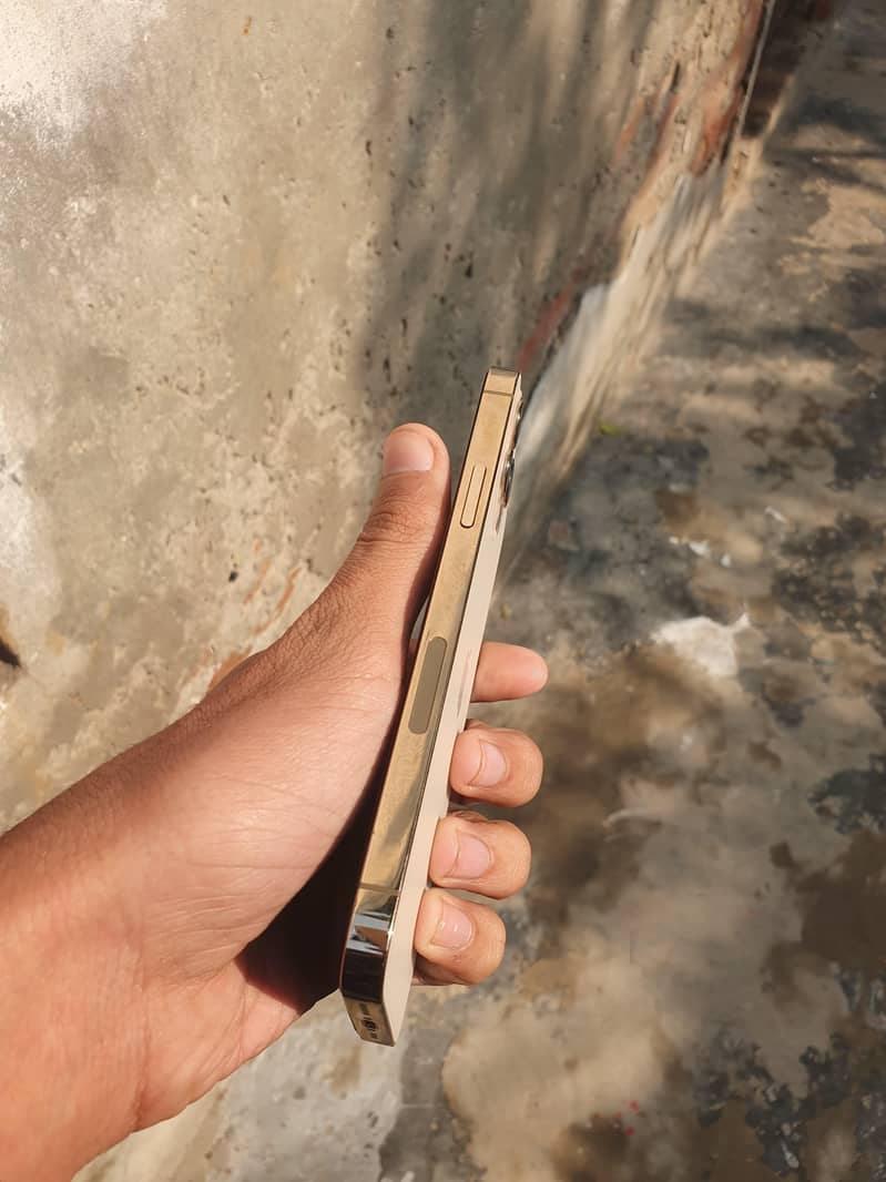 IPHONE 12 PRO (READ DESCRIPTION) - Mobile Phones - 1110179205