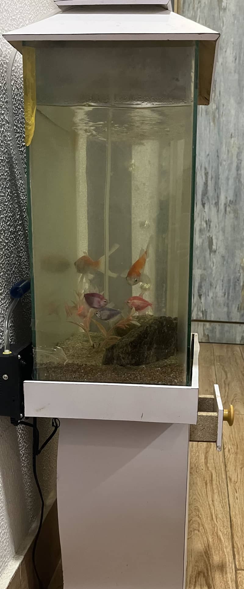 Fully equipped aquarium and fish. - Aquariums - 1110187384