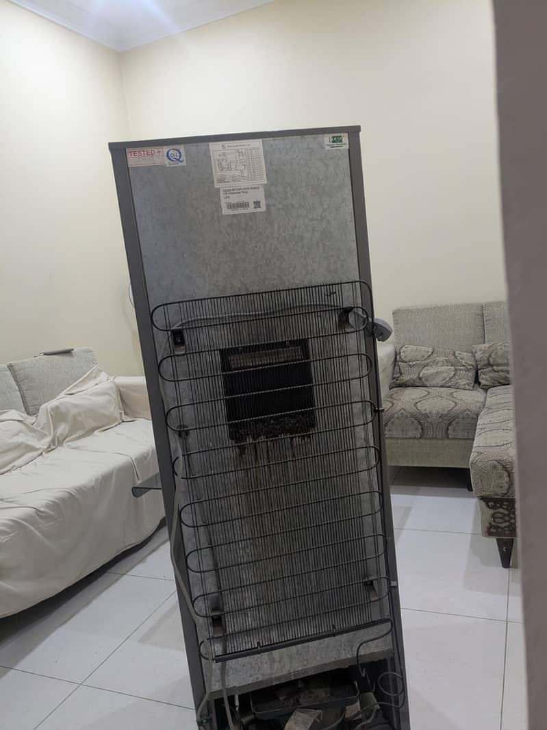 pel fridge - Refrigerators - 1110192588