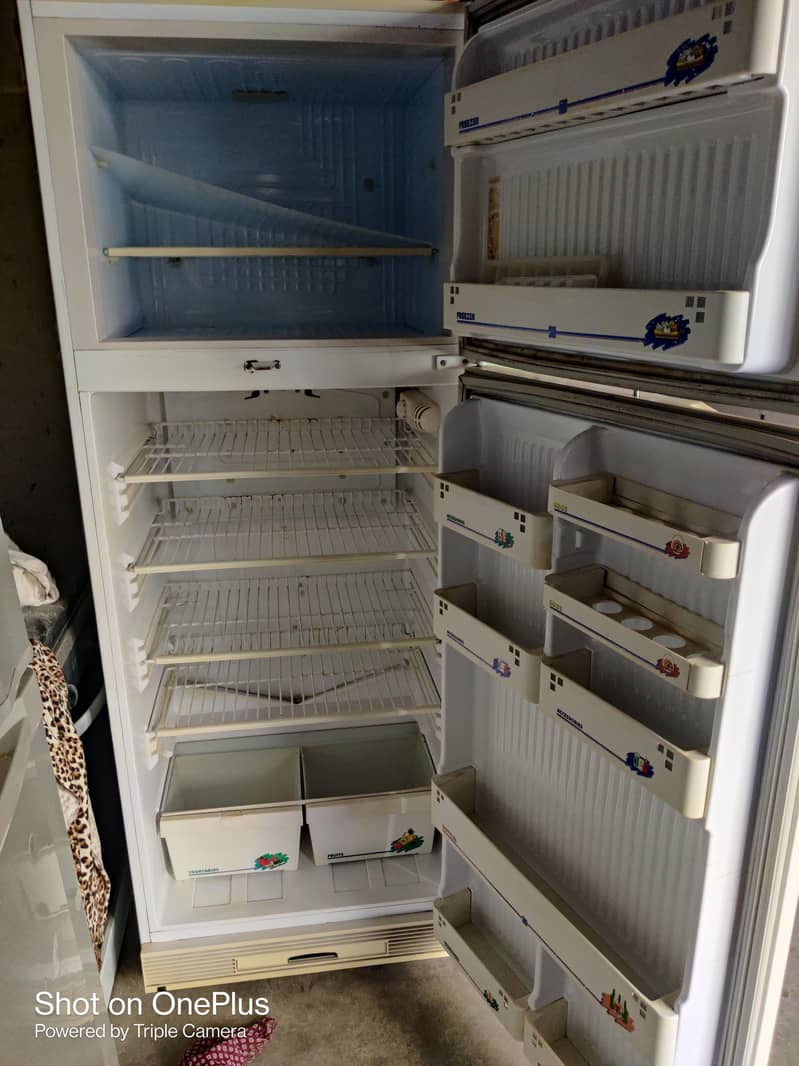 PEL ORIGINAL CONDITION - Refrigerators - 1110202199