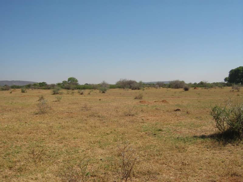 233 Kanal Prime Residential Urban Brown Land for Sale Sue Asal Link ...