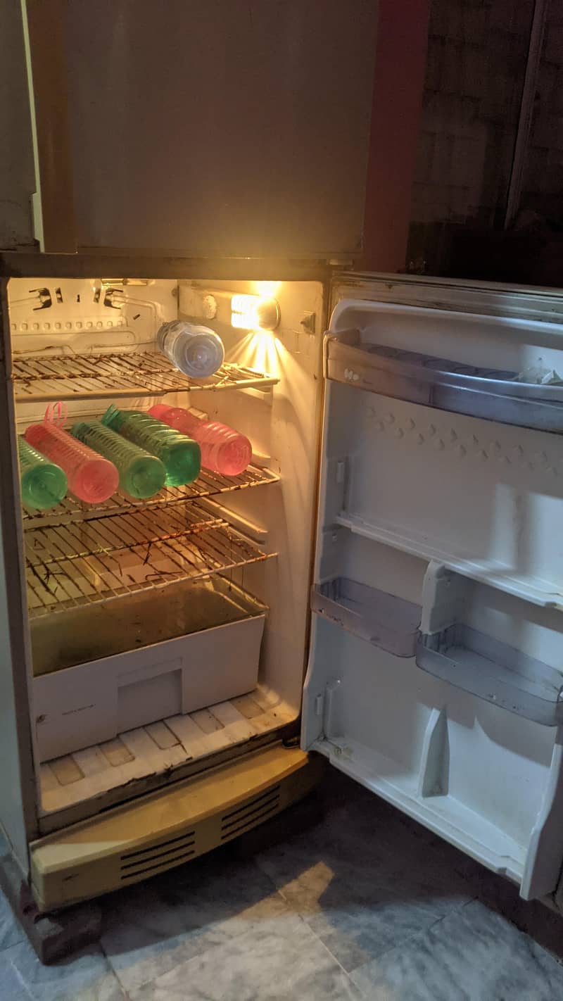 PEL FRIDGE - Refrigerators - 1110246427