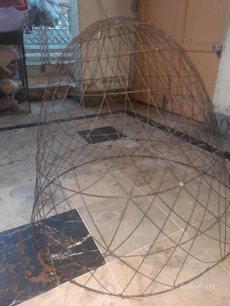 cage for hen - Hen Cages - 1110272700