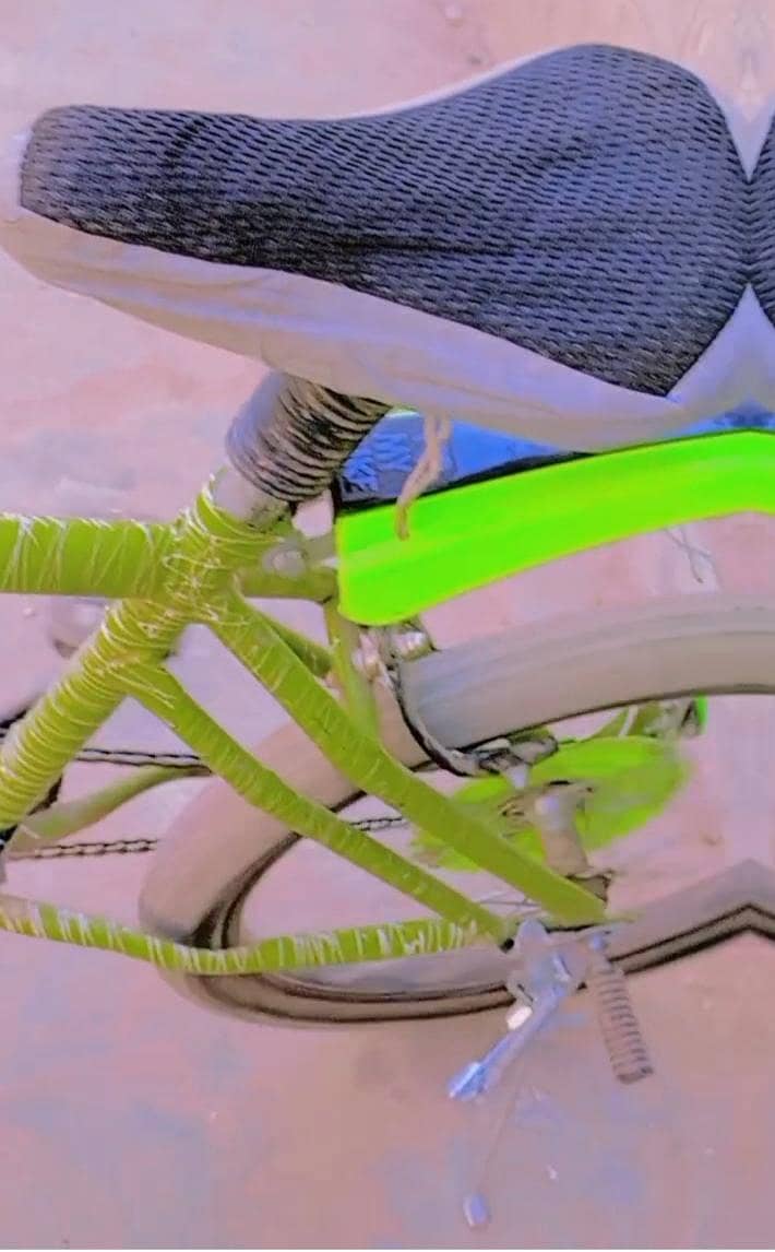 patla Frame cycle - Other Bicycles - 1110281351